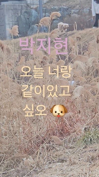 오늘 너 집에 안가면 안되냐 ️박지현사투리 가수박지현 미스터트롯2 Youtube