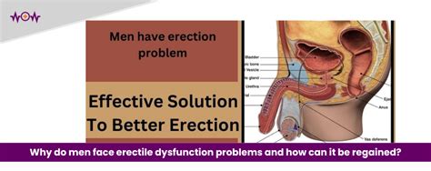 Why Do Men Face Erection Problems And How Can It Be Regained