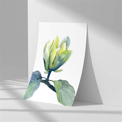 Magnolia Acuminata Blue Limited Edition Fine Art Print