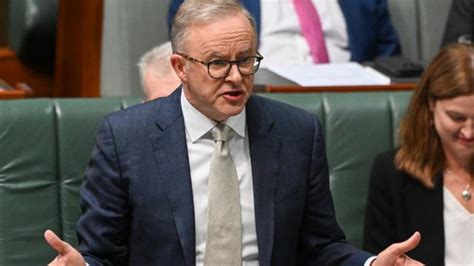 ‘undue Haste Albanese Govt Approved Palestinian Visa In ‘just 60