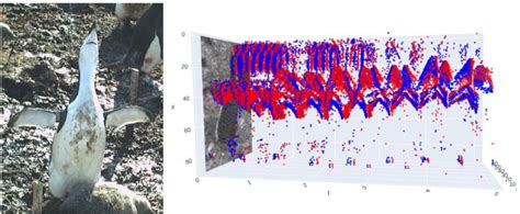 논문 리뷰 Fourier Based Action Recognition For Wildlife Behavior Quantification With Event Cameras