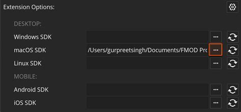 GettingStarted YoYoGames GMEXT FMOD GitHub Wiki