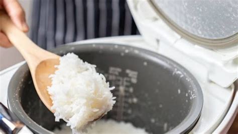 Cara Memasak Nasi Dengan Magic Panduan Lengkap Untuk Kamu Dijamin Nasi Makin Pulen