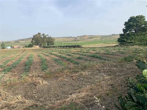 Terreno Agricolo In Vendita A Menfi In Zona Lido Fiori Agestacase It
