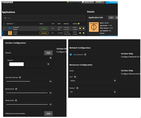 I Need Help With Zerotier On Truenas Scale Truenas General Truenas