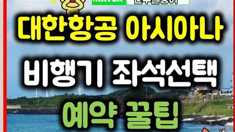 아시아나 대한항공 비행기 좌석 선택지정 팁 체크인 예약방법 네이버 Tv