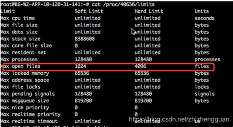 Accept4 Too Many Open Files； Retrying In 1s Csdn博客