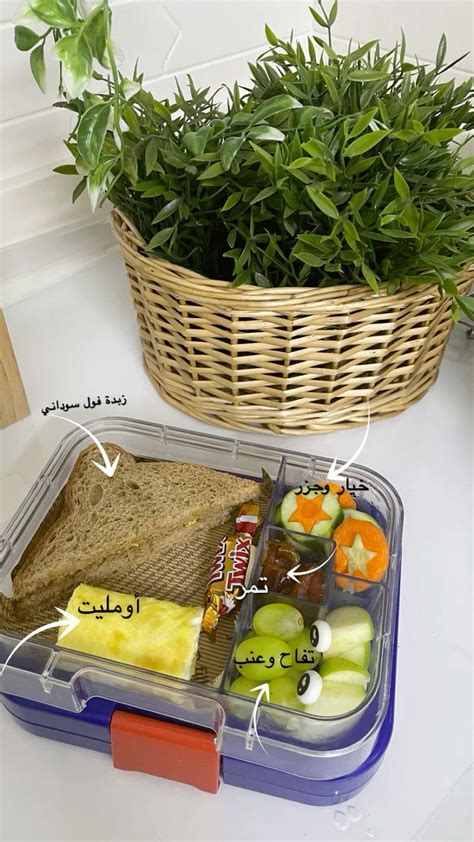 لانش بوكس اطفال