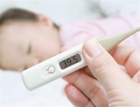 Налайх дүүрэгт менингококк халдварын нэг тохиолдол бүртгэгдлээ Delhii Mn