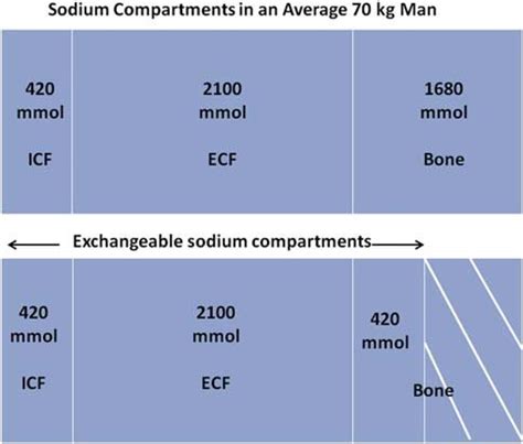 1 Sodium Compartments Ecf Extracellular Fluid Icf Intracellular