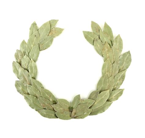 Premium Photo Laurel Wreath Isolated On White