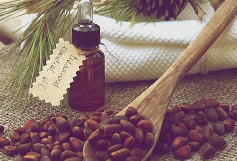 Get Rid Of Pantry Moths Free Your Home From These Intruders With