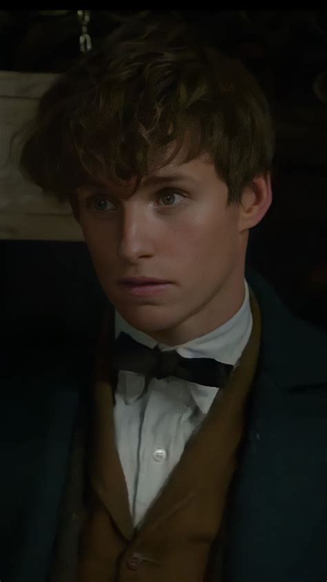 Newt Scamander Artofit