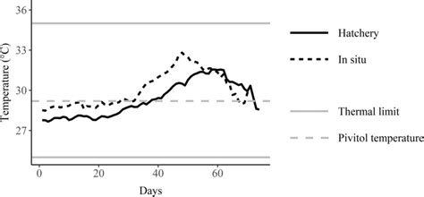 Mean Nest Temperature Per Day Of Incubation For Hatchery N And In Download Scientific