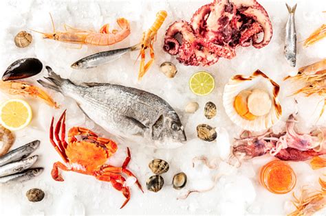 생선과 해산물 의 다양한 흰색 배경에 플랫 레이 탑 샷 신선한 생선 새우 게 오징어 홍합 조개 문어 가리비 캐비어 날것에 대한 스톡 사진 및 기타 이미지 Istock