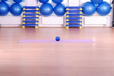 Premium Photo Pilates Ball In Fitness Club