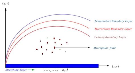 Analysis Of Entropy Generation On Magnetohydrodynamic Flow With Mixed Convection Through Porous