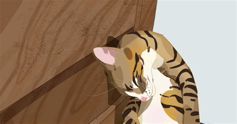 原创 Day 43 灰色灰烬greyashのイラスト Pixiv