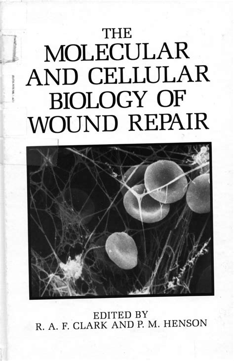 Pdf Biology Of The Myofibroblast