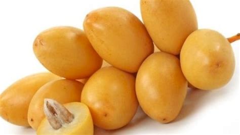 Khasiat Kurma Muda Untuk Tingkatkan Kesuburan