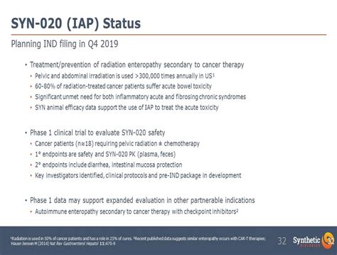 Iap 66 Sample Pdf Template
