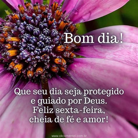 Bom Dia Sexta Feira 31 Mensagens Para Iniciar O Dia Com O Pé Direito