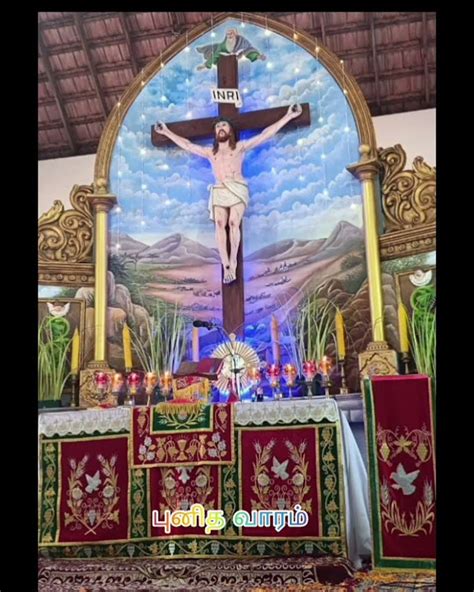 புனித அமலோற்பவ அன்னை மலங்கரை கத்தோலிக்க ஆலயம் விமலபுரம் Youtube
