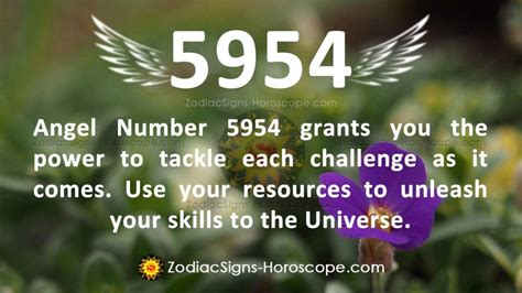 The Influence Of 5954 Angel Number Being Hopeful Always