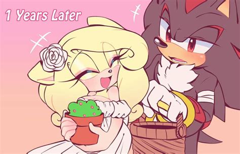 Shadow And Elina Shadow The Hedgehog Sonic Fan Art Shadow