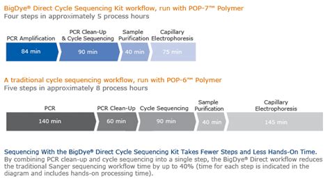 Messy Sanger Sequencing Reads Near The Primer Behind The Bench