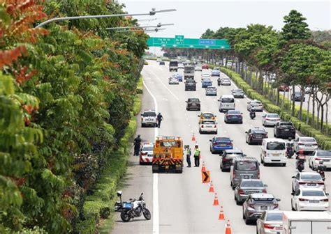 Body Of 83 Year Old Man Found Among Trees Off Cte Deceased Believed To