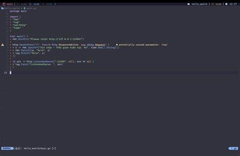 Unexpected Characters In Nvim When Editing Go Files Who Can Help Me