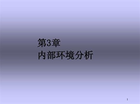 第3章 内部环境分析n Word文档在线阅读与下载 无忧文档