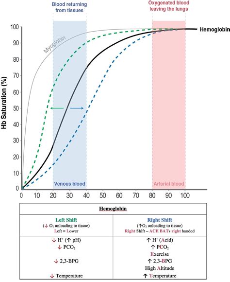 Oxygen Hemoglobin Dissociation Curve Left Shift Grepmed