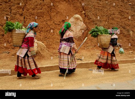 Women Of The Flower Hmong Hill Tribe Returning From Market Can Cau