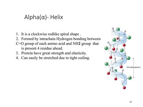Protein And Its Classification Ppt