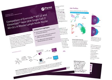 Tech Note Evercode Vs Chromium In Mouse Lymph Node Nuclei