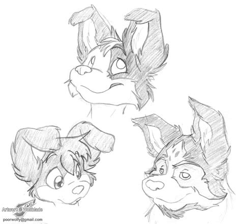 Wolfblade On Twitter Favorite Pics Of This Was The Year These Three Were Born So Here S