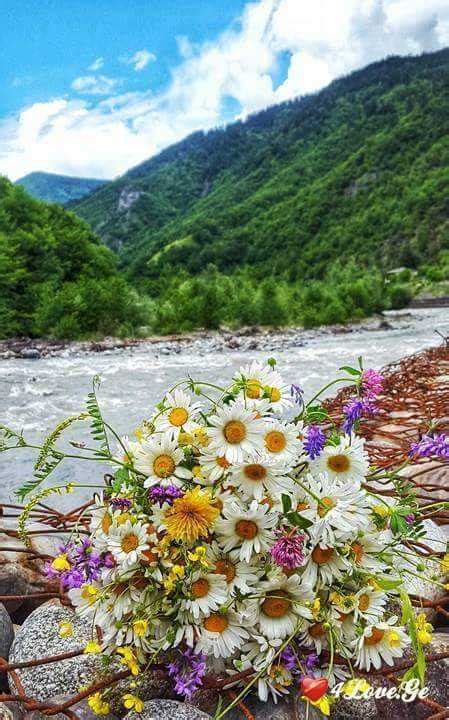 სიცოცხლე ყვავილები 4love Ge სასიყვარულო საიტი ისტორია წიგნი