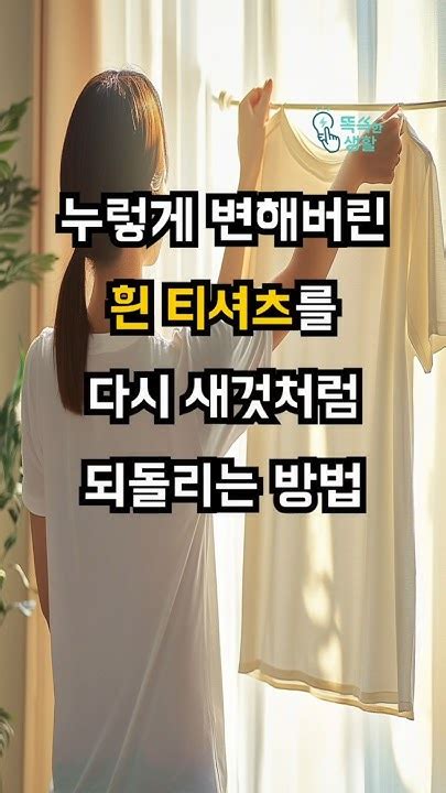 누렇게 변해버린 흰 티셔츠를 다시 새것처럼 되돌리는 방법 올바른정보 꿀팁 Youtube