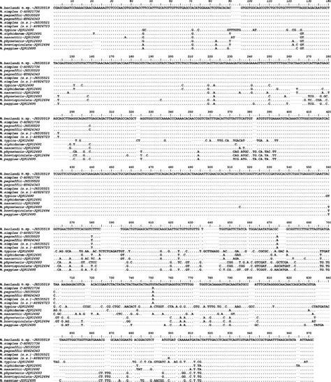 Alignment Performed By Bioedit Software Hall 1999 Of The Its Region