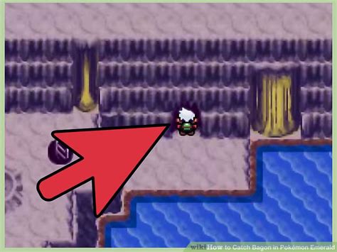 How To Catch Bagon In Pokémon Emerald With Pictures Wikihow