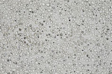 Premium Photo Pumice Stone Gray Closeup Structure Uniform Texture