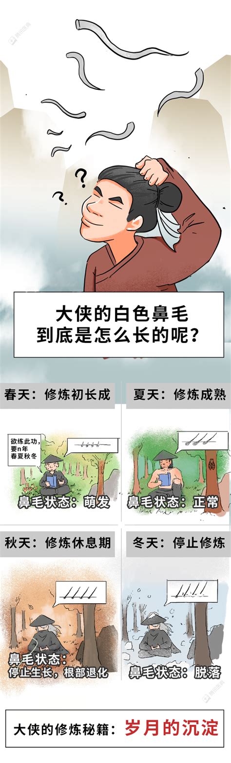住手窜出来的鼻毛千万不能拔 知乎