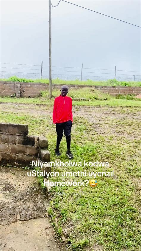 Follow Stalyon For Homework Tips And Fun Tiktok
