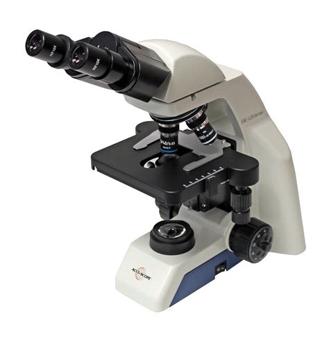 Accu Scope Exc 120 Binocular Microscope Microscope Solutions
