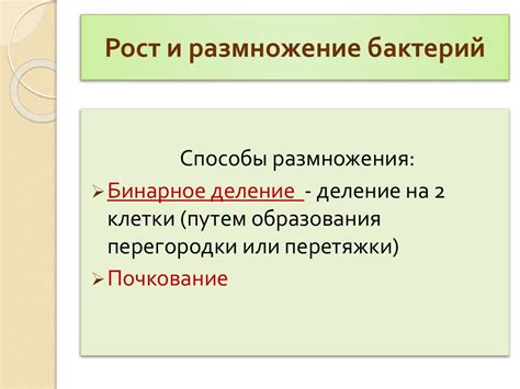 Физиология микроорганизмов презентация онлайн