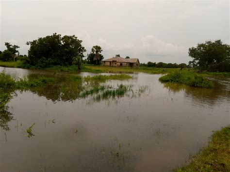 Flood Wreaks Havoc In Taraba Community Photo Daily Post Nigeria