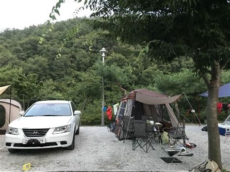 월성 오토캠핑장 오지캠핑노지캠핑
