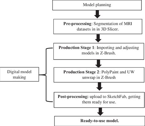 Development Workflow Download Scientific Diagram